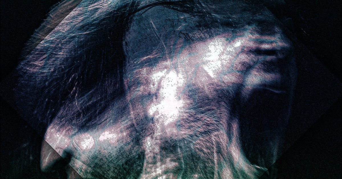 Stream GHOST IN STEREO's new single -- [Corrosion] - Scorpion Percussion